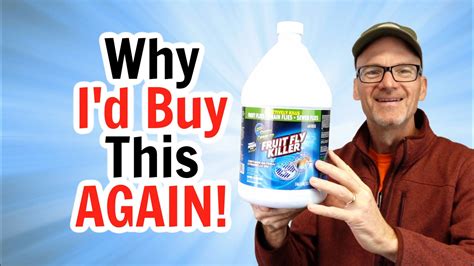 Kill Drain Flies Fast 7 Natural Methods You Need To Know Now