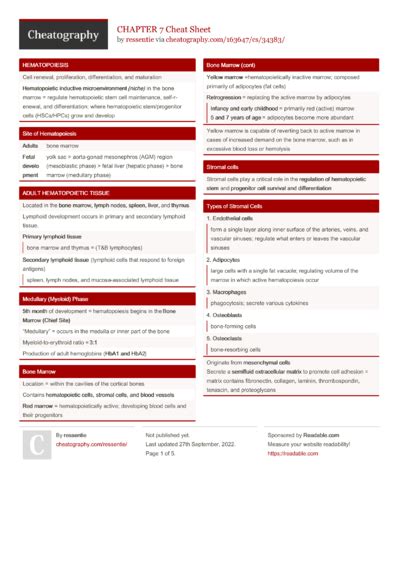 6 Bone Cheat Sheets Cheat Sheets For Every Occasion