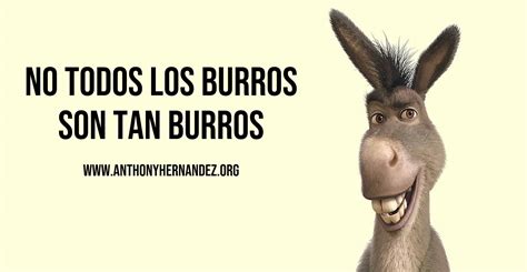 Un Nuevo Amanecer No Todos Los Burros Son Tan Burros Anthony Hernandez