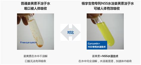 姜黄的功效 姜小黄 成都植宇生物科技有限公司