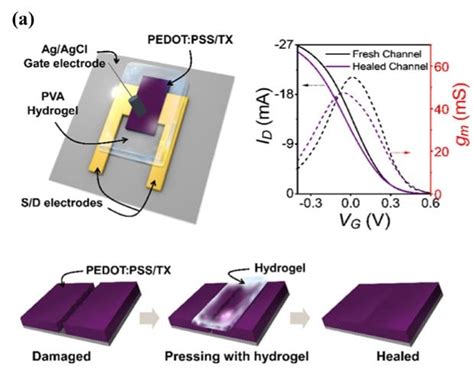 Self Healable Pedot Based Film Hydrogel And Oect Devices