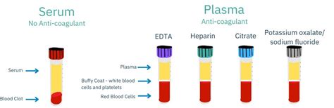 From Patient To Analysis The Journey Of Serum And Plasma Samples