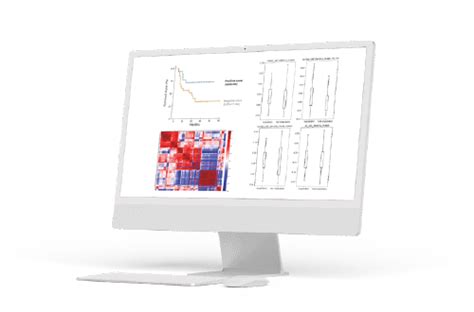 Nucleai Ai Powered Spatial Biology Platform Nucleai