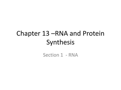 Ppt Chapter 13 Rna And Protein Synthesis Powerpoint Presentation