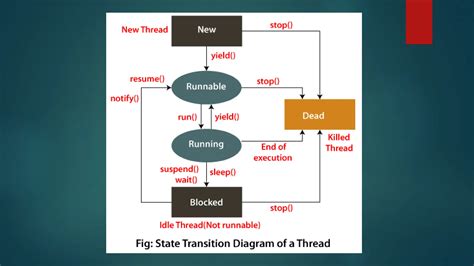 life cycle of a thread java thread detai ppt