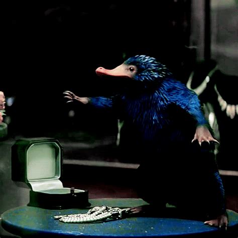 Newt Scamander Fbawtft Album On Imgur