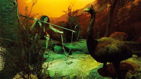 Moa The Life And Death Of New Zealands Legendary Bird New Zealand