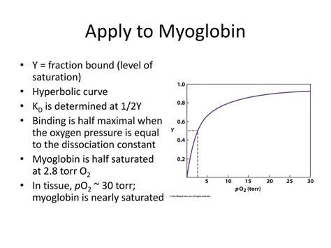 Protein Function C483 Spring Ppt Download
