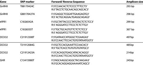 Primer Sequences Snp Markers And Pcr Product Size Of Various Candidate Download Scientific