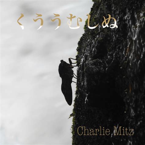 ‎eat Sex And Die Single Album By Charlie Mitz Apple Music