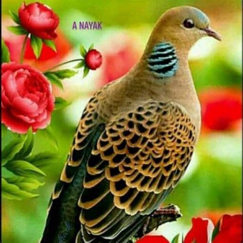 Jason Patrick Youtube