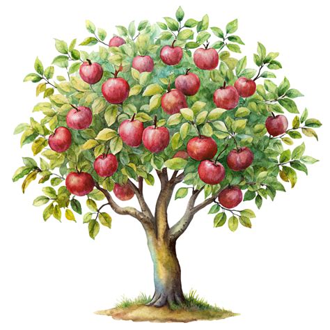 Explore 56 398 Free Apple Tree Cartoon Illustrations Download Now Pixabay