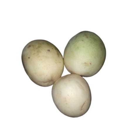 Jual Buah Timun Suri Mini Mateng 1 Kg Shopee Indonesia