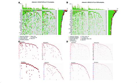 Visualization Of The Mutation Profile Signature In Each Cluster