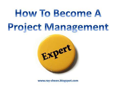 Ray Sheen How To Become A Project Management Expert
