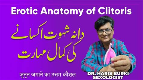 Erotic Anatomy Of The Clitoris The Surprising Truth Behind Female