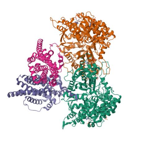 Rcsb Pdb 9byy Class 9 Model For Turnover Condition Of Bacillus
