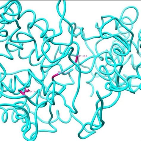 Figure Highlighting The Mutated Regions Pink In A Katg Wt Protein Download Scientific Diagram