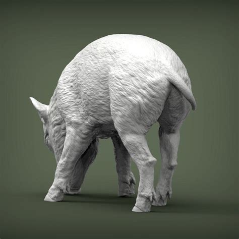 3d Printable Small Boar By Akuzmenko