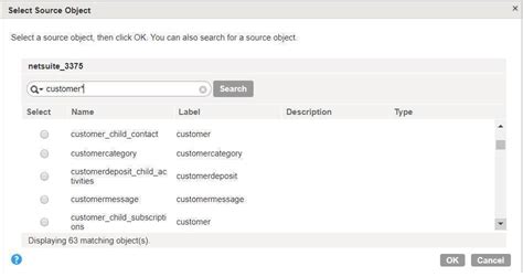 Netsuite Restlet V2 Connector Objects
