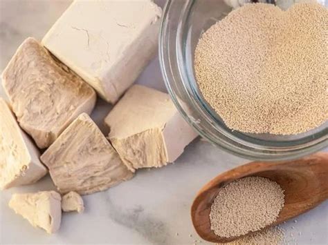 Active Yeast Packaging Type Packet Powder At ₹ 50kg In Hyderabad