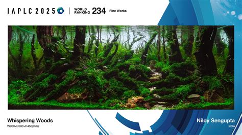 A Verdant Submerged Forest Whispers Tales Of Ancient Tranquil Depths