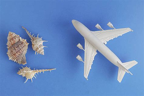 Plastic Shell Background Images Hd Pictures And Wallpaper For Free