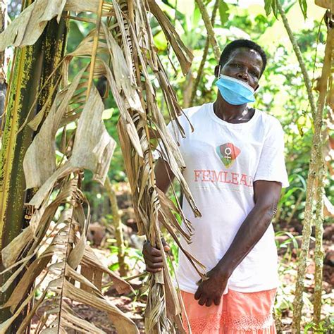 Fluff Project Femlead