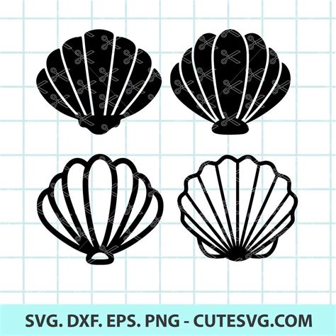 Seashell Svg Shell Svg Cut File Beach Shell Svg Sea Shell Svg
