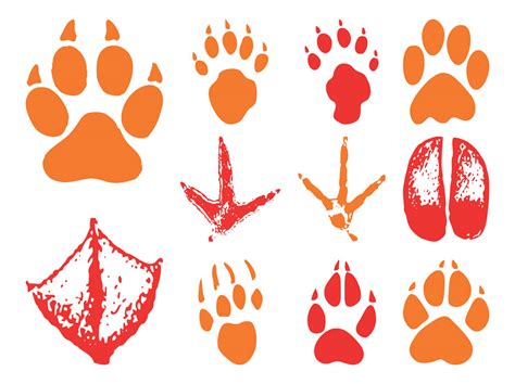 Free Animal Footprints Cliparts Download Free Animal Footprints