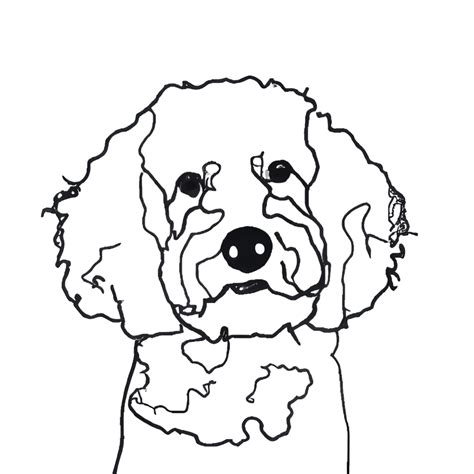 Minimalist Cockapoo Line Art Graphic · Creative Fabrica