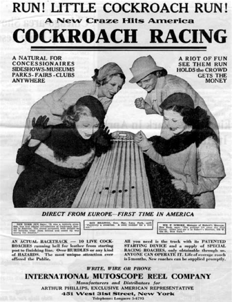 Vintage Ad For Cockroach Racing Set Boing Boing