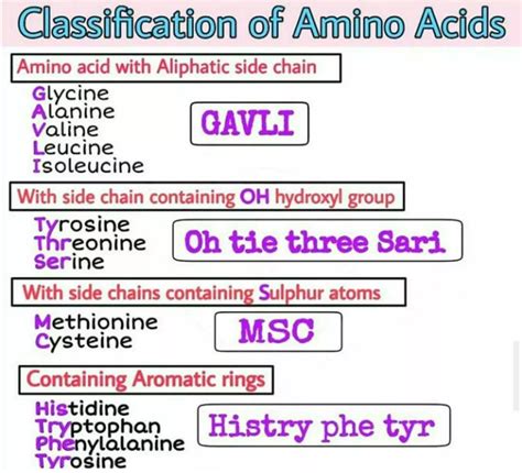 Classification Of Amino Acids Types Functions And Mnemonics For