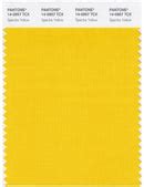 Pantone Smart 14 0957 Tcx Color Swatch Card Spectra Yellow Magazine