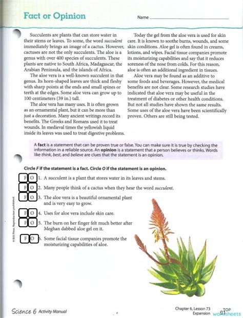Lesson 78 Plant Parts Pg 97 Interactive Worksheet Topworksheets