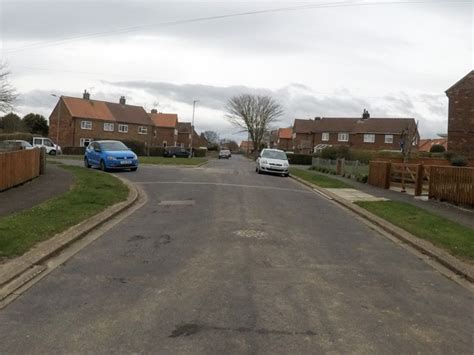 Bempton Cliffs To Flamborough Head Walk