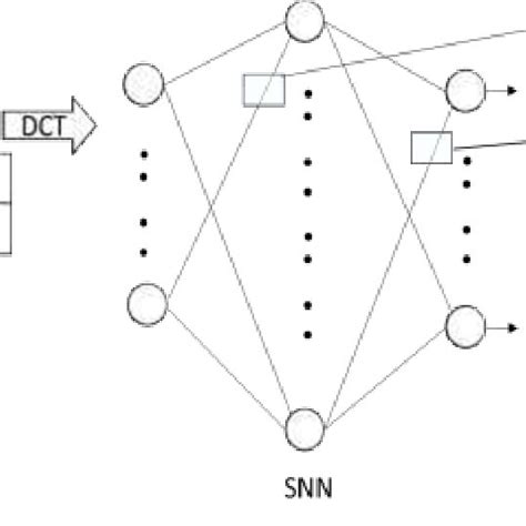 the proposed d snn diagram download scientific diagram