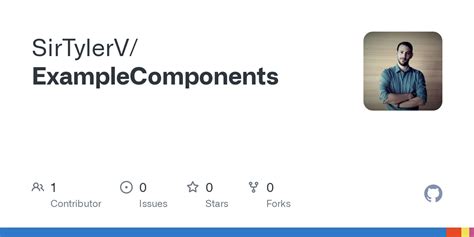GitHub SirTylerV ExampleComponents