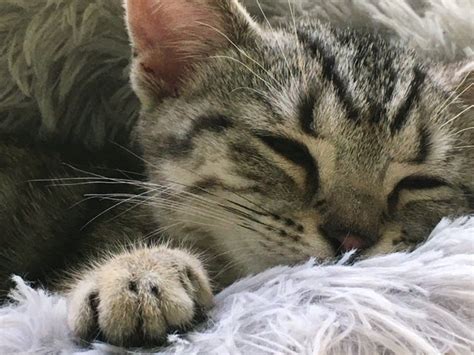 ファイト！ 池田昌子オフィシャルブログ「池田昌子のカムウィズミー」powered By Ameba