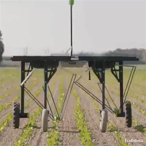 Michael Rudenko On Linkedin Amazing Use Of Ai 🤖