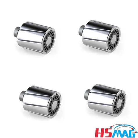 High Performance Magnet Rotor Assemblies Magnets By Hsmag