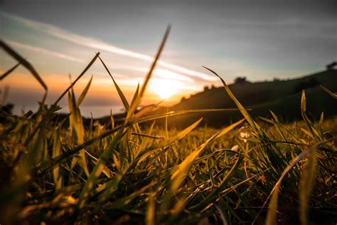 Grassland 4k Hd Wallpaper