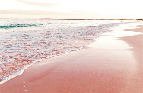 100 Pink Beach Aesthetic Wallpapers