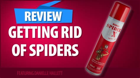 Get Rid Of Spiders Spiderex Youtube