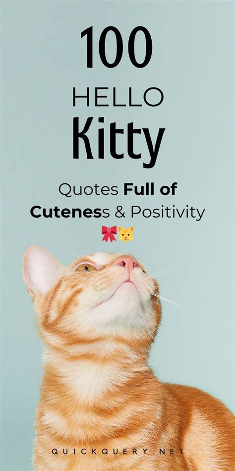 100 Hello Kitty Quotes Full Of Cuteness And Positivity 🎀🐱 Cat Quotes