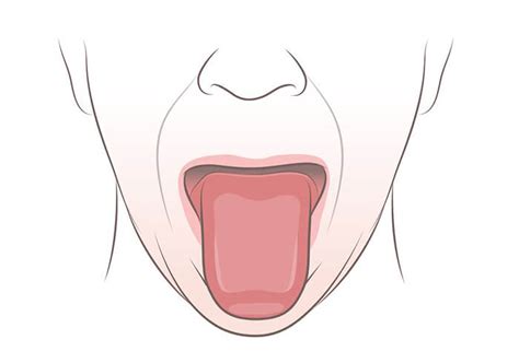 Cách Bú Lồn Liếm âm đạo Giúp Chị Em Lên Top [có Kèm Hình ảnh Chi Tiết]