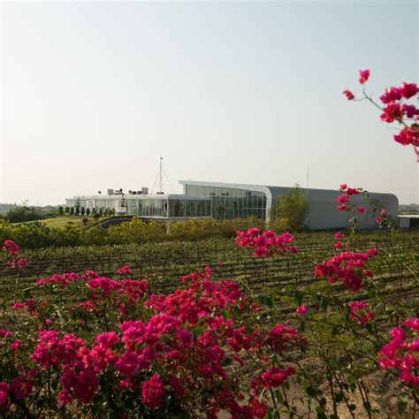 Our Winery Fratelli Wines