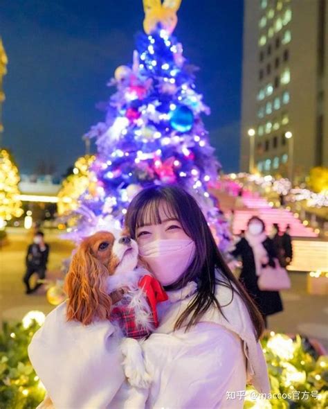 Miharu Usa ︎羽咲みはる：她的生活里，只有它，没有他 知乎