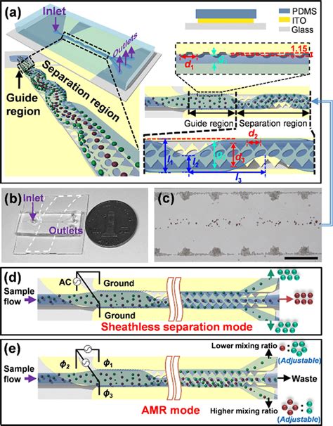 Schematic Diagram Of The Proposed Microfluidic Device For Sheathless