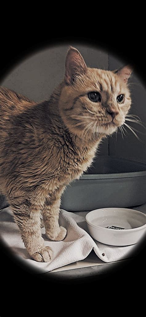 Tierheim Krems Abschied 😪 Schweren Herzens Mussten Wir Uns Von